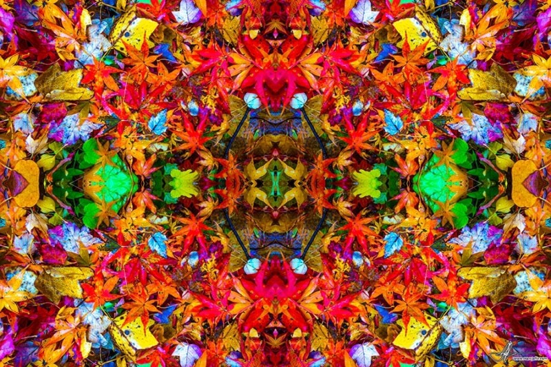 Mirrors - Marc Jaffe Studios