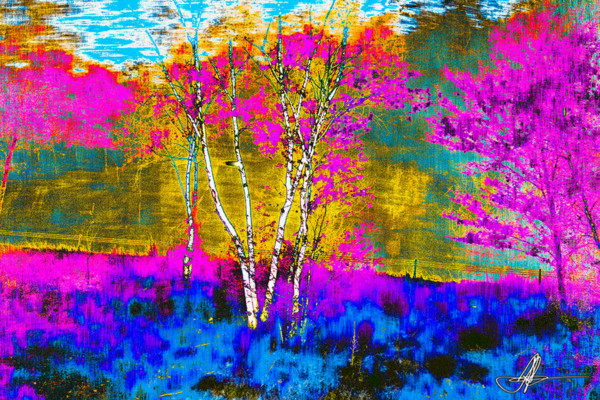 Fine Art Abstract Photography - Marc Jaffe Studios